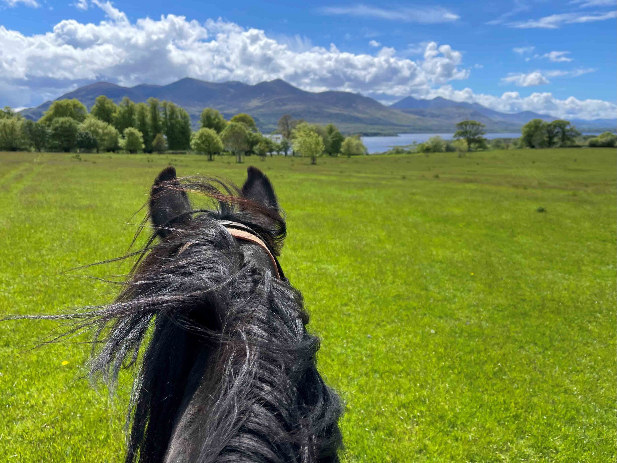 Killarney Riding Stables - Top Riding Vacations